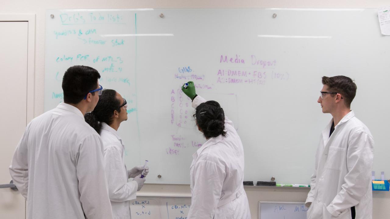 About Us | BioInnovation Lab