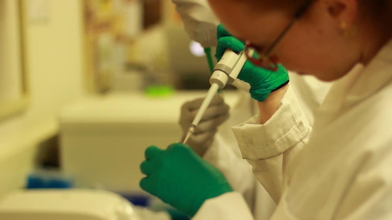 Skills Training | BioInnovation Lab